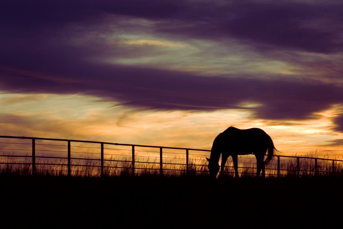 Turn-About Ranch Abuse Allegations | Helping Survivors